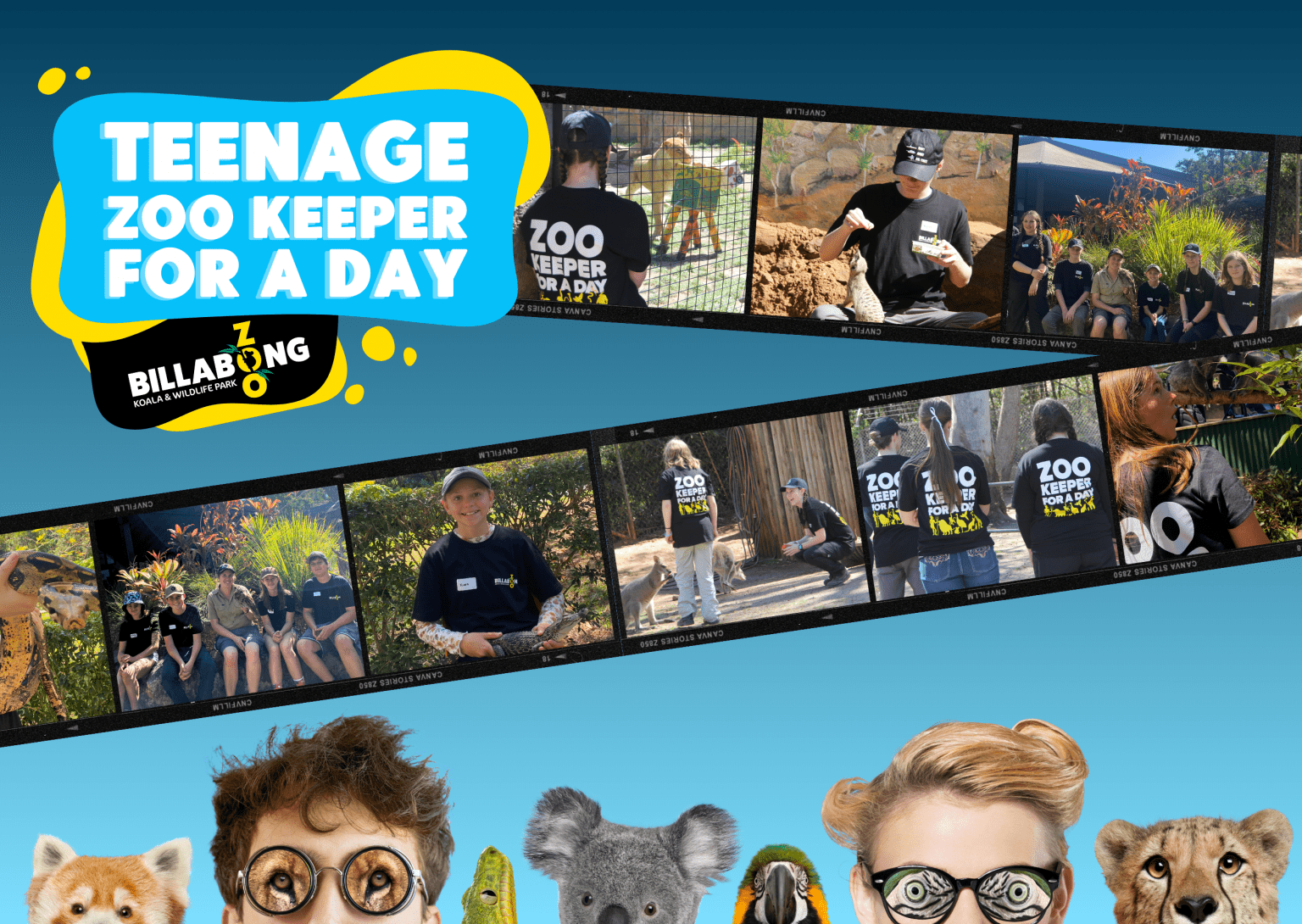 Teen Zoo Keeper for a Day | Billabong Zoo | Port Macquarie Koala and ...